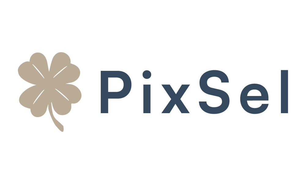 PixSel - Votre partenaire en transformation numérique